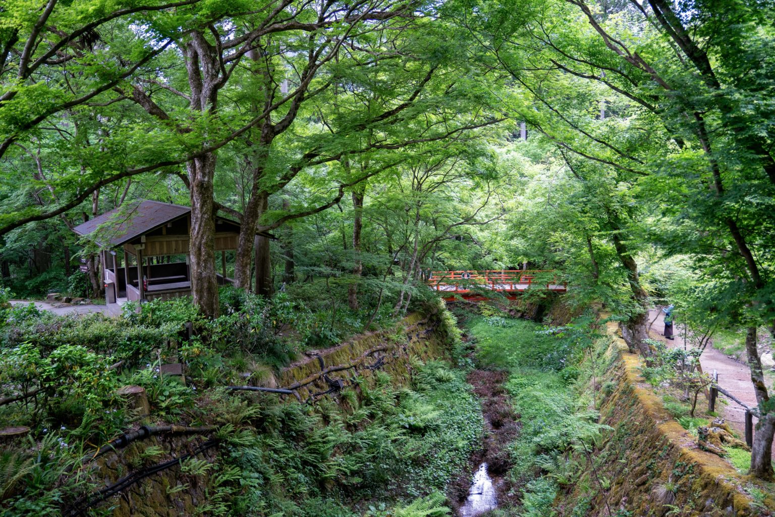 Japan's Long-Distance Trail - The Nakasendo - Expat Hikers